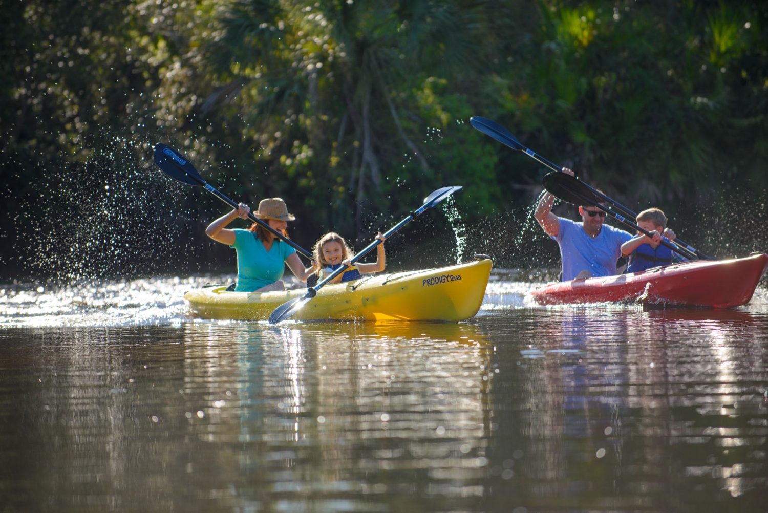 Top 5 Outdoor Activities in Sarasota - Outdoor Activities in Florida