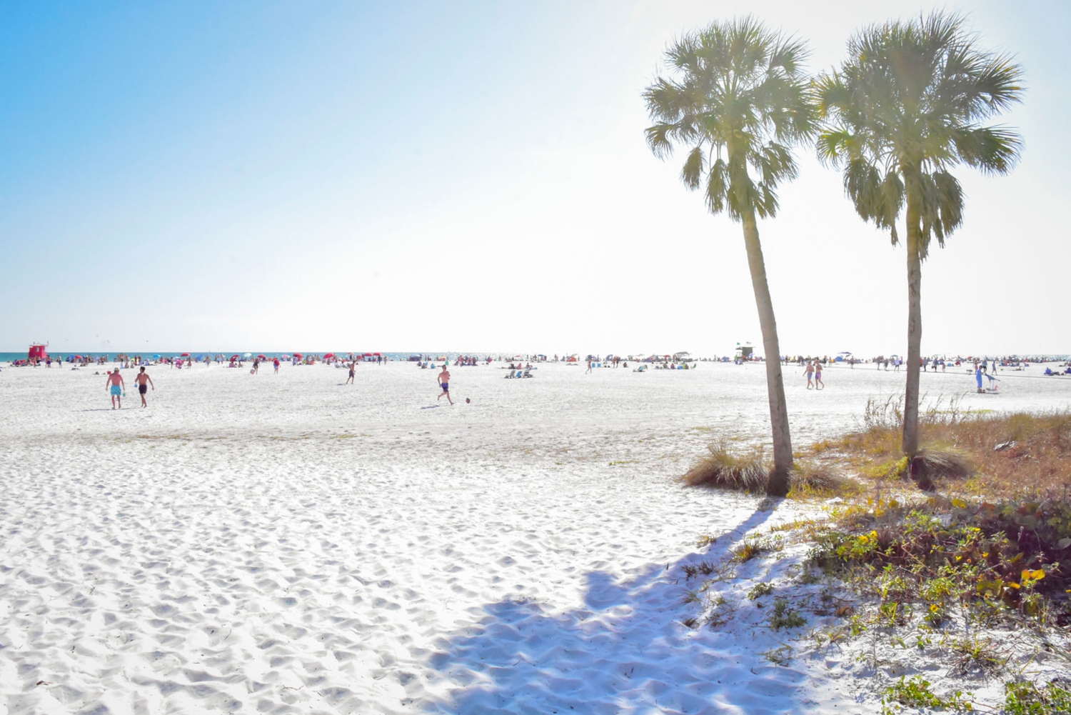Top 5 Outdoor Activities in Sarasota - Outdoor Activities in Florida