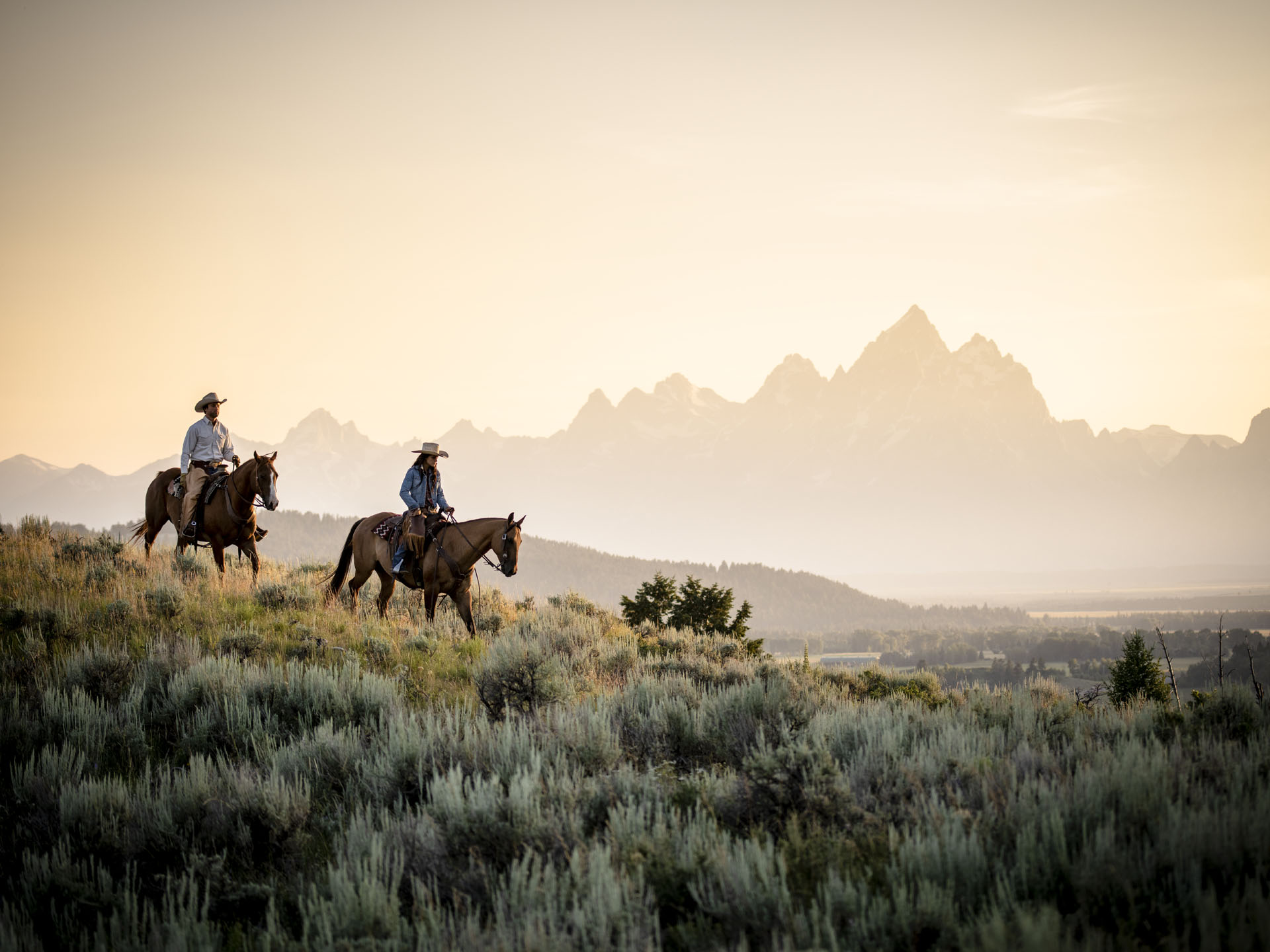 Awesome Food Experiences in the Great American West